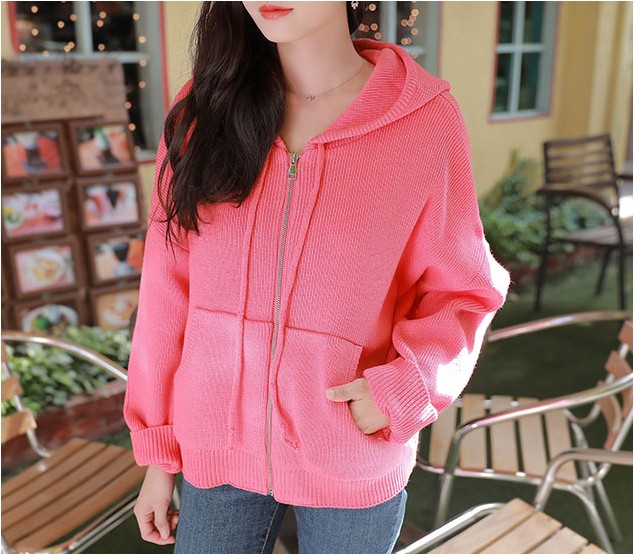 fiona Fresh Fall Knit Jumper | Hooded for Women | KOODING